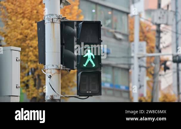 The traffic light changes from a stop signal to a walking signal. Seoul ...