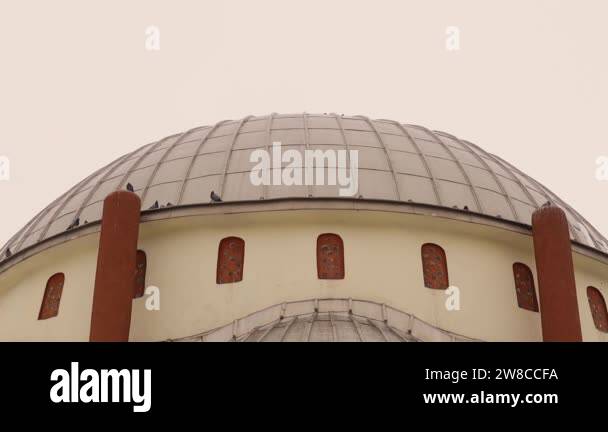 Common pigeons flying from the dome of a mosque in Erzurum, Turkey ...