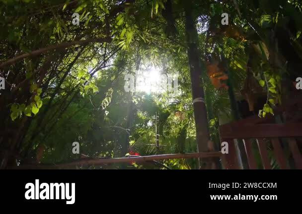From sun up down Stock Videos & Footage - HD and 4K Video Clips - Alamy