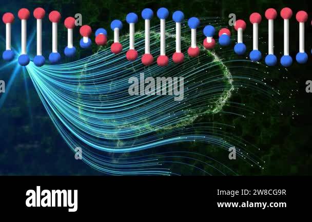 Animation of dna strand and digital human brain over blue lines on ...