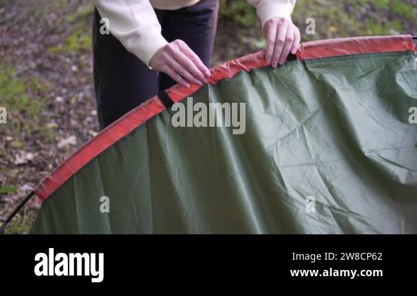 Forest activities Stock Videos & Footage - HD and 4K Video Clips - Alamy