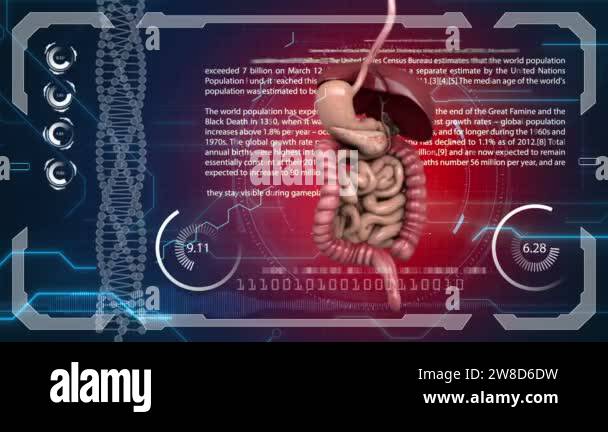 Infographic on digestive system Stock Videos & Footage - HD and 4K ...