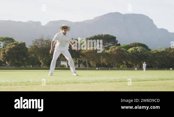Diving catch cricket Stock Videos & Footage - HD and 4K Video Clips - Alamy