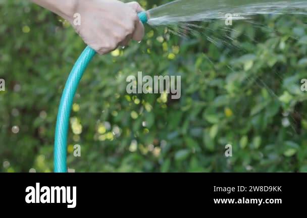 Watering tree. Woman arms are using water spraying hoses. Woman ...