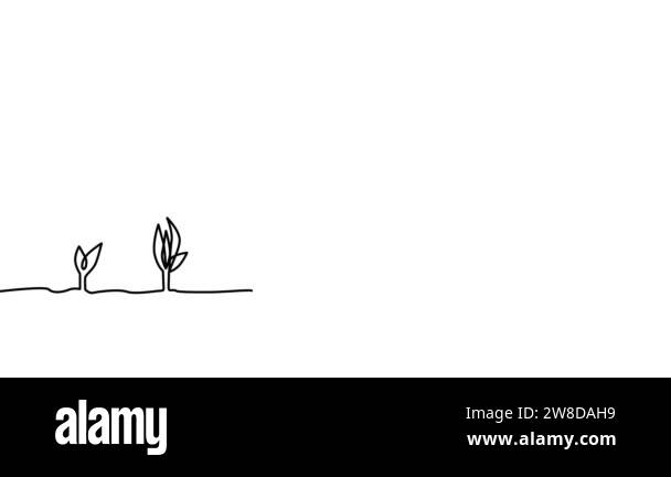 A continuous line of small to large sprouts self-draws. plant growing ...