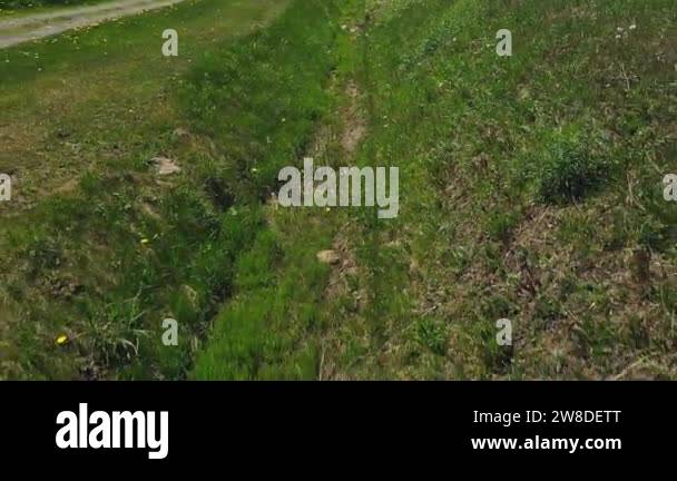 Bottom of a ditch Stock Videos & Footage - HD and 4K Video Clips - Alamy