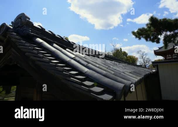 Beautiful rooftop house at traditional garden under green trees at ...