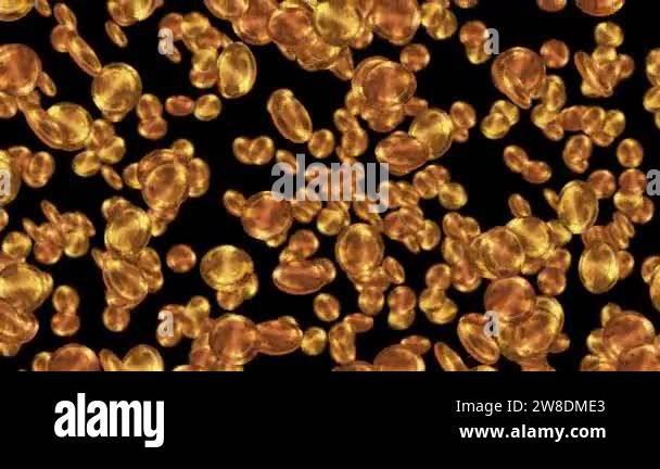 Golden antique coins floating in air on black background. Gold coin in ...
