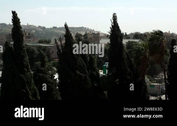 Jerusalem israel trees Stock Videos & Footage - HD and 4K Video Clips ...