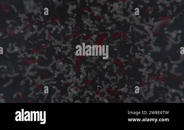 3D animated bacterial background with chemical formulas and movement of ...