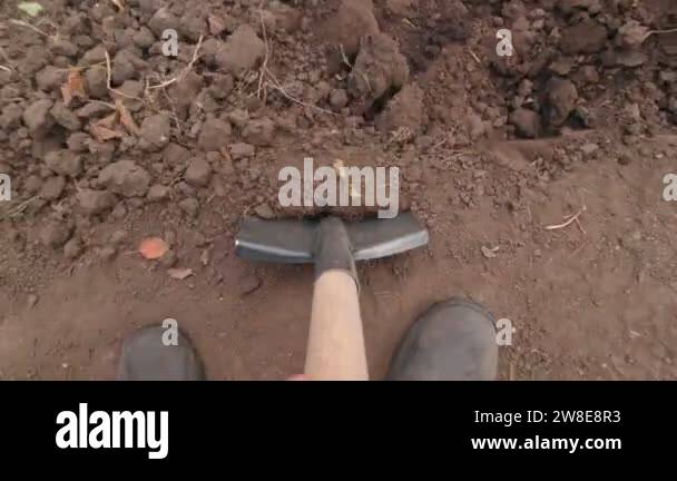 Man digging garden Stock Videos & Footage - HD and 4K Video Clips - Alamy