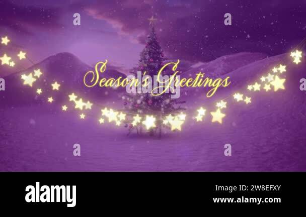 Starlight christmas tree Stock Videos & Footage - HD and 4K Video Clips ...