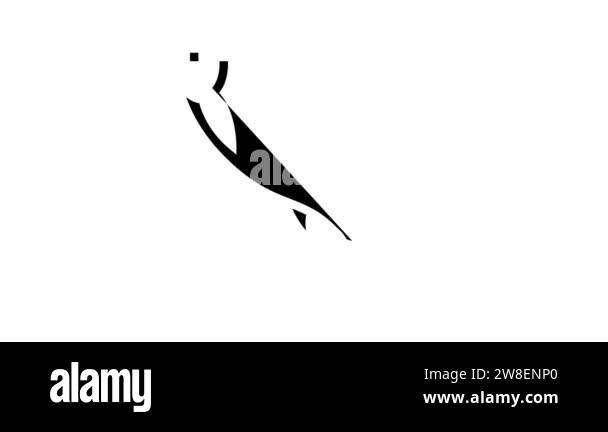 Rohu fish Stock Videos & Footage - HD and 4K Video Clips - Alamy