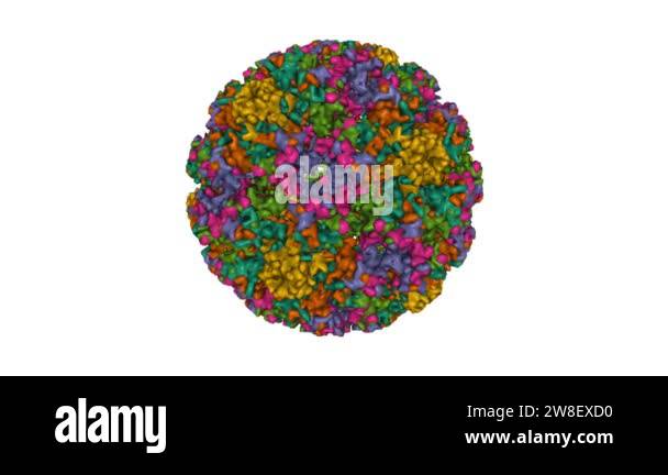 Structure Of Human Papillomavirus Type 59 L1 Virus Like Particle Animated 3d Gaussian Surface
