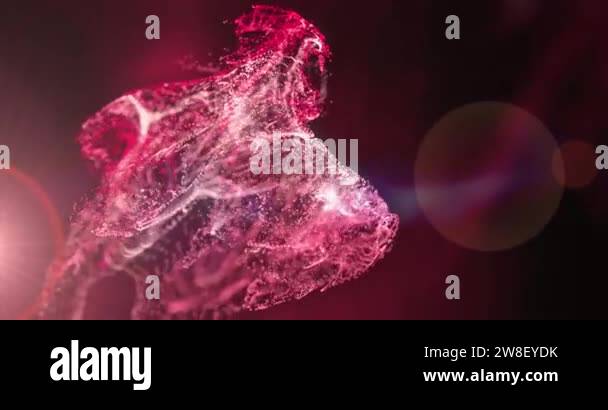 Animation of pink and red particles moving with bokeh lights on black ...