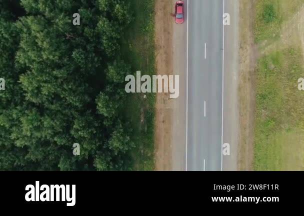 Top view of dividing line of forests and fields. Scene. Cars are ...