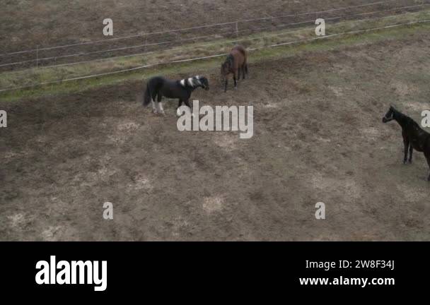 Walk colors Stock Videos & Footage - HD and 4K Video Clips - Alamy