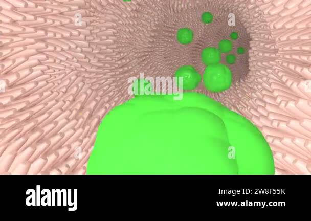 Human intestinal bacteria Stock Videos & Footage - HD and 4K Video ...