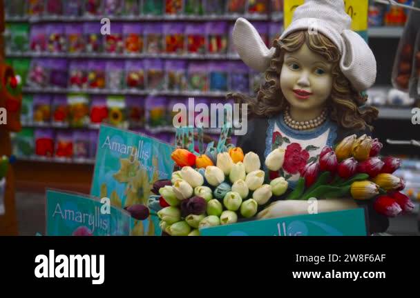 Traditional dutch girl Stock Videos & Footage - HD and 4K Video Clips ...