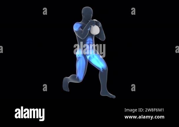 This 3d animation shows an xray man performing kettlebell globet static ...