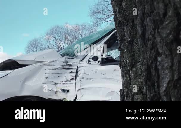 Car accident tree Stock Videos & Footage - HD and 4K Video Clips - Alamy