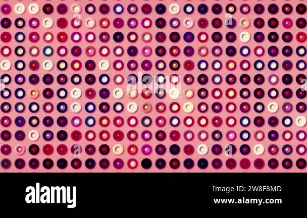 Abstract pink decorative background with rows of circles changing colors, seamless loop. Motion ...
