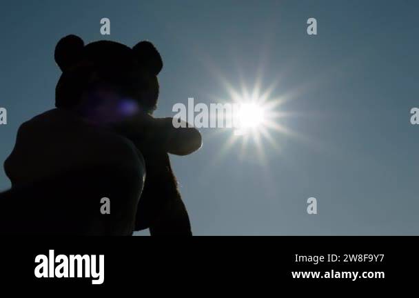 Teddy bear in sun Stock Videos & Footage - HD and 4K Video Clips - Alamy
