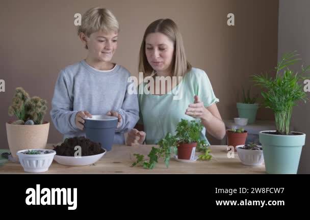 Boy planting a flower in a pot with mother together. Child studing ...