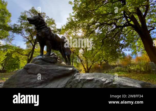 Balto alaska Stock Videos & Footage - HD and 4K Video Clips - Alamy