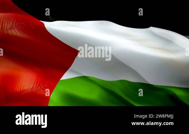 Palestine flag Motion Loop video waving in wind. Realistic Palestinian ...