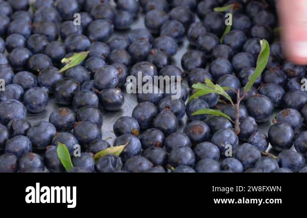 Shade on table Stock Videos & Footage - HD and 4K Video Clips - Alamy