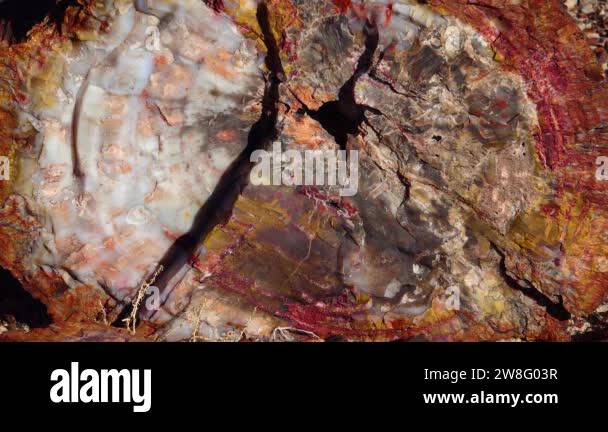 Mesozoic geologic formation Stock Videos & Footage - HD and 4K Video ...