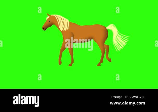 Running horse isolated Stock Videos & Footage - HD and 4K Video Clips ...