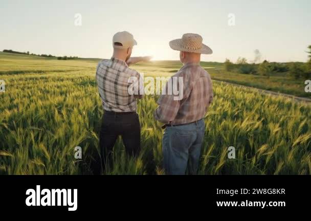 Two farmers are standing in the middle of a field and talking about the ...
