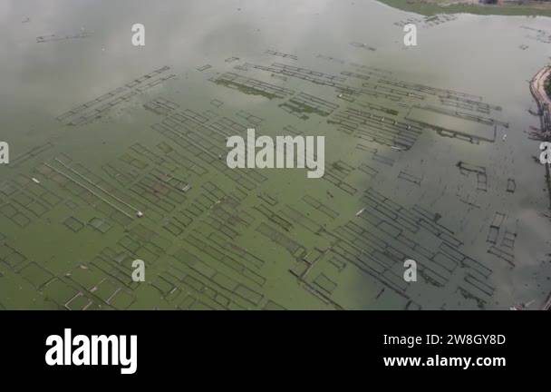 Wide aerial view of traditional floating fish pond on swamp in ...