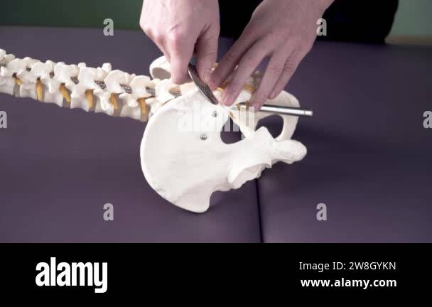 Physical therapist demonstrates how to apply IASTM tool to treat ...