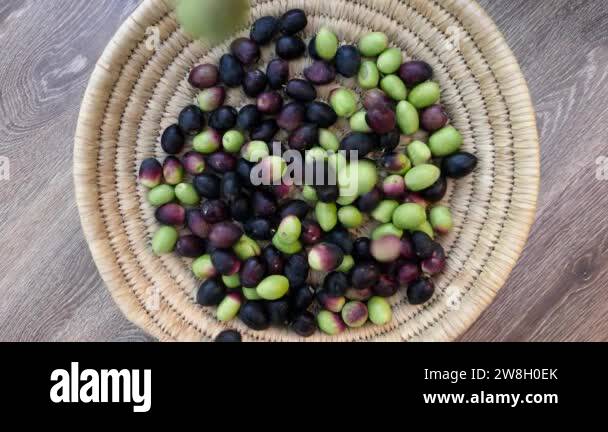 Green and black raw Moroccan olives are poured into a basket ...