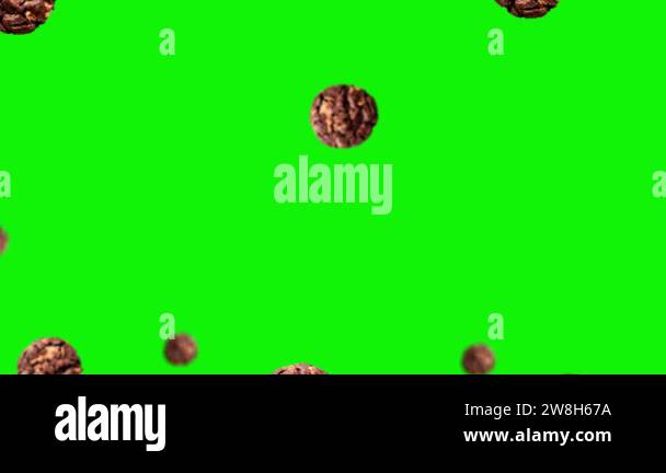 Flying Dark chocolate chip cookie of different diameters on the green ...