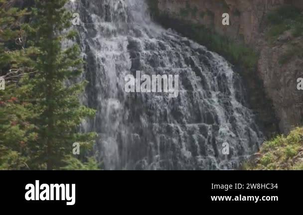 Yellowstone national forest Stock Videos & Footage - HD and 4K Video ...