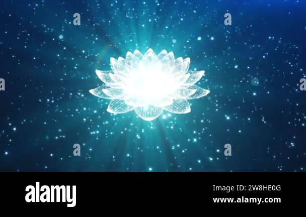 4k animation of Blue Lotus flower Stock Video Footage - Alamy