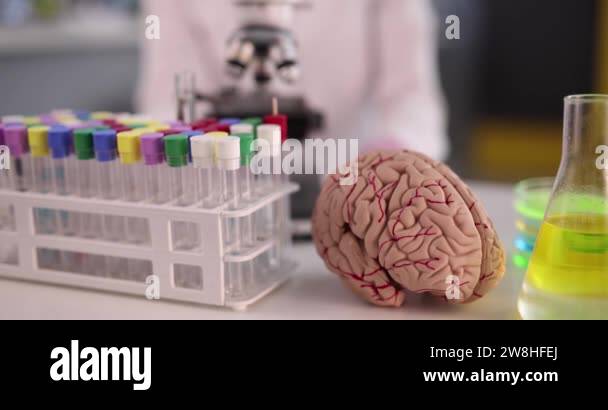 Human brain sample Stock Videos & Footage - HD and 4K Video Clips - Alamy