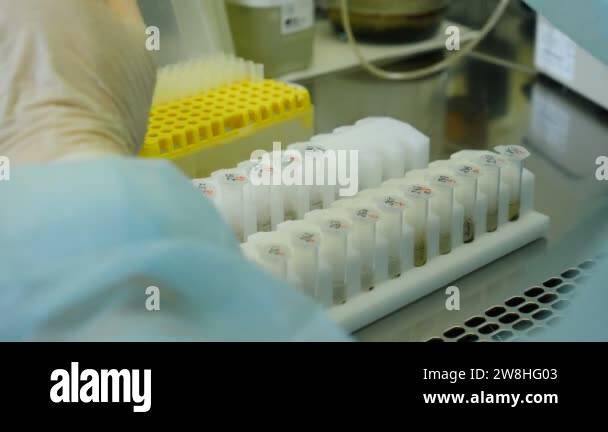 Pcr test tests Stock Videos & Footage - HD and 4K Video Clips - Alamy