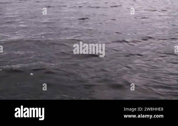 Small waves on the surface of the water swayed by the wind in ...