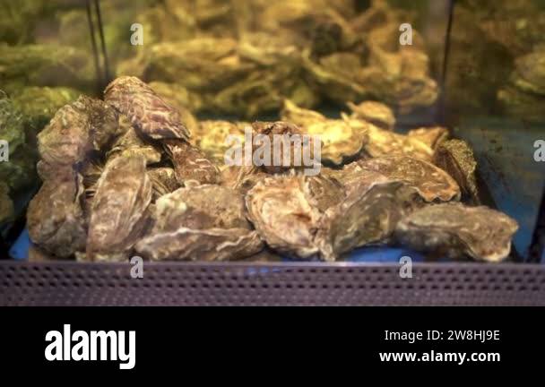 Shellfish and seafood Stock Videos & Footage - HD and 4K Video Clips ...
