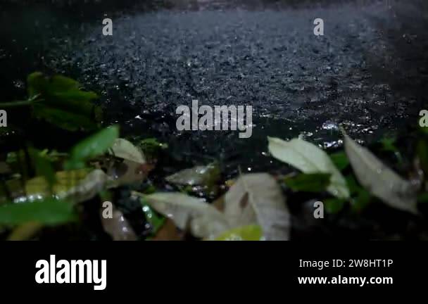 Nature precipitation Stock Videos & Footage - HD and 4K Video Clips - Alamy