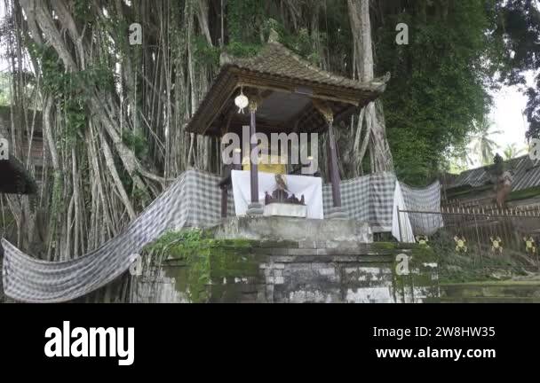 Pura Kahyangan Jagat,Bali, Indonesia. 400-year-old banyan tree wrapped ...
