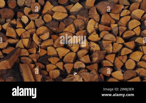 The chopped trees is stacked in a large log woodpile in the yard ...