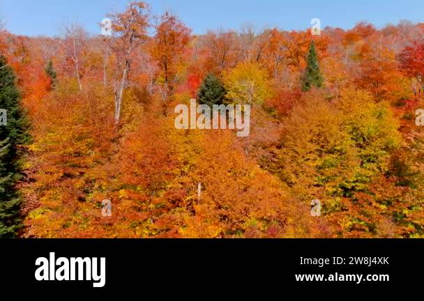 4K camera drone captures stunning autumn foliage colors while flying ...