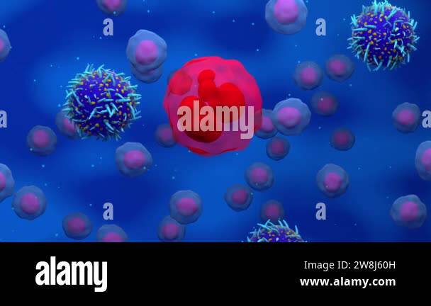 CAR T-cells attack fight and destroy cancer cell 3d render animation ...