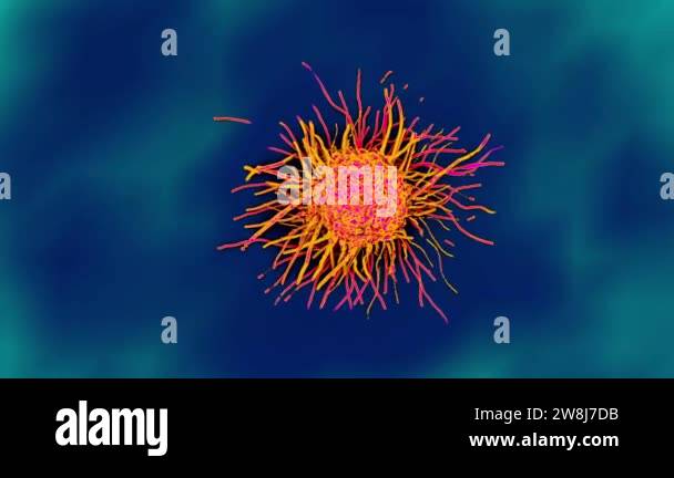 3d cancer cells Stock Videos & Footage - HD and 4K Video Clips - Alamy